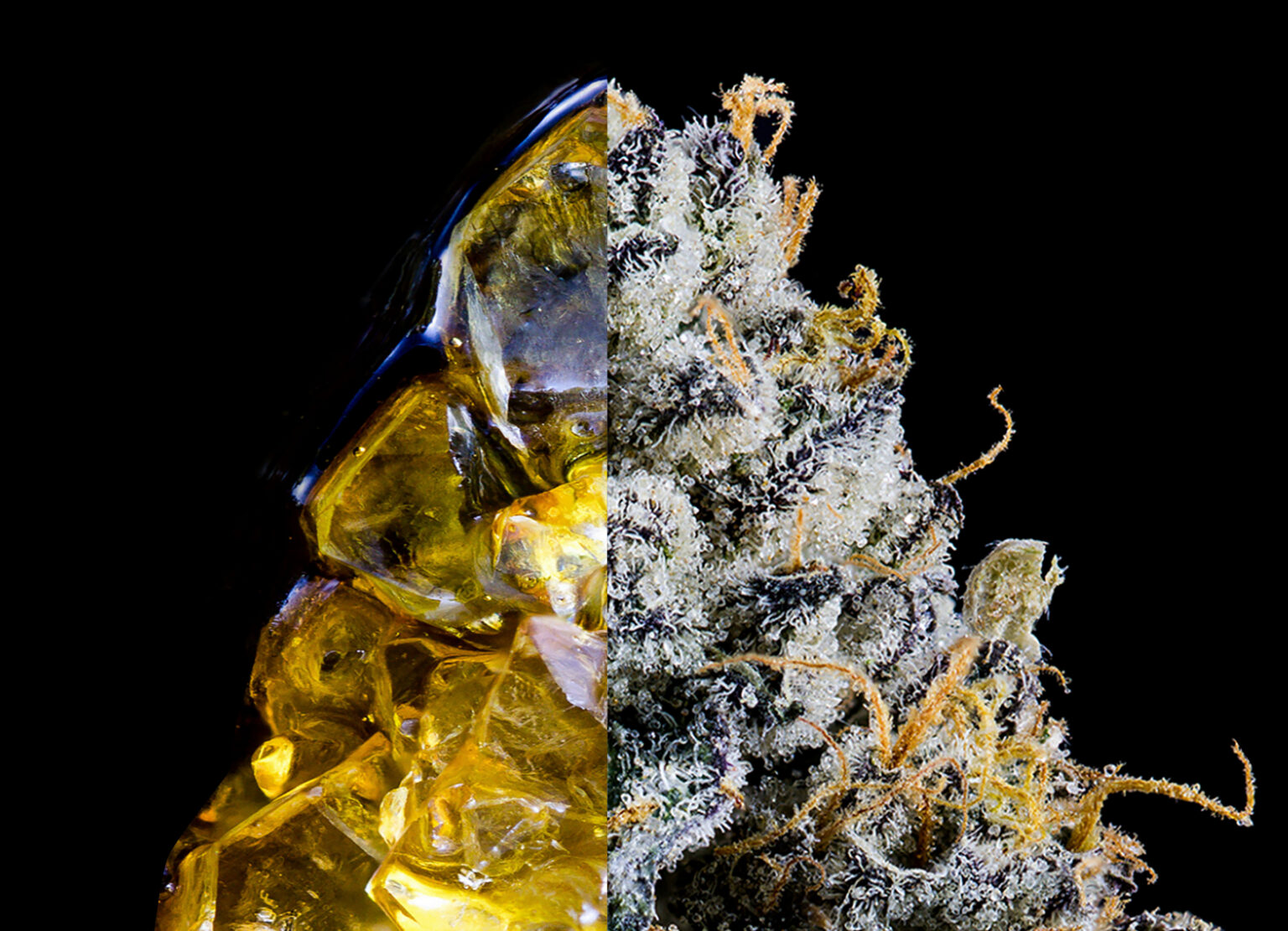 Home - HIGHGRADE